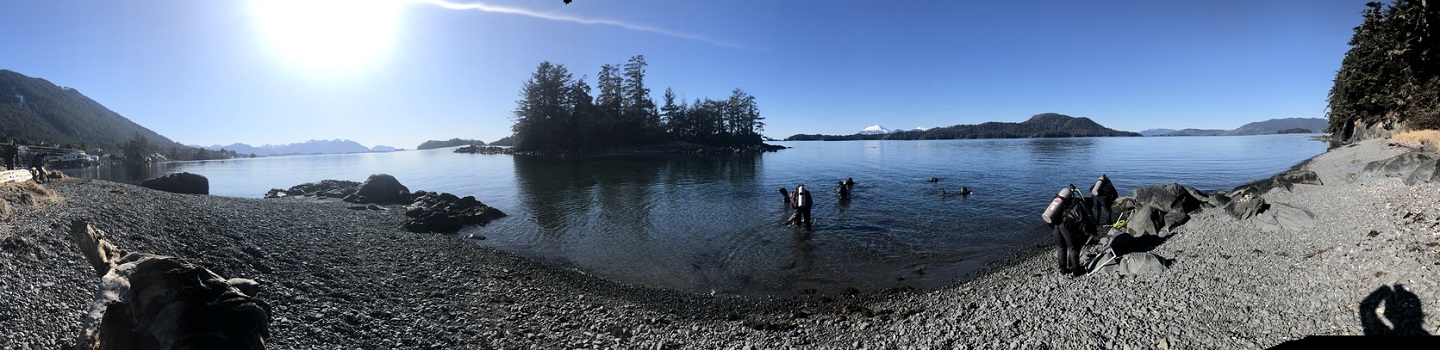 Costs & Scholarships